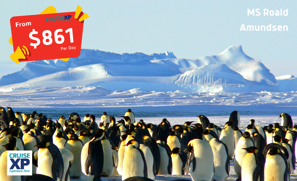 12-Days Highlights of Antarctica - cruise package